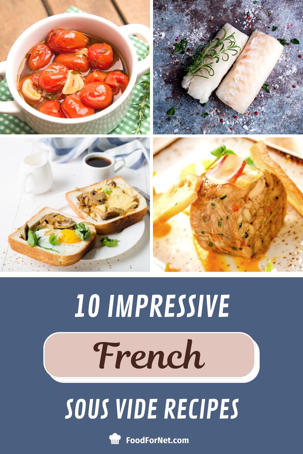 10 Impressive French Sous Vide Recipes | Food For Net