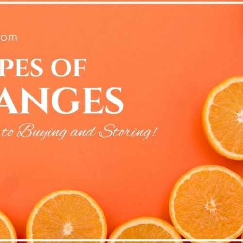 Are Prunes Good For You? | Food For Net