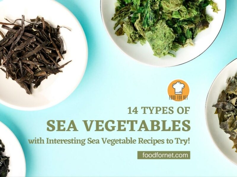 16 Types of Cruciferous Vegetables – Their Health Benefits, Cooking ...