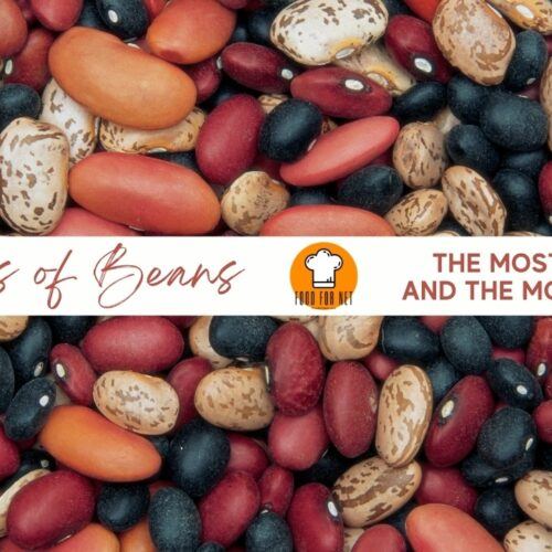 The Types Of Legumes, Their Differences, And Health Impacts | Food For Net