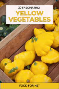 20 Yellow Vegetables You Can Enjoy Today | Food For Net