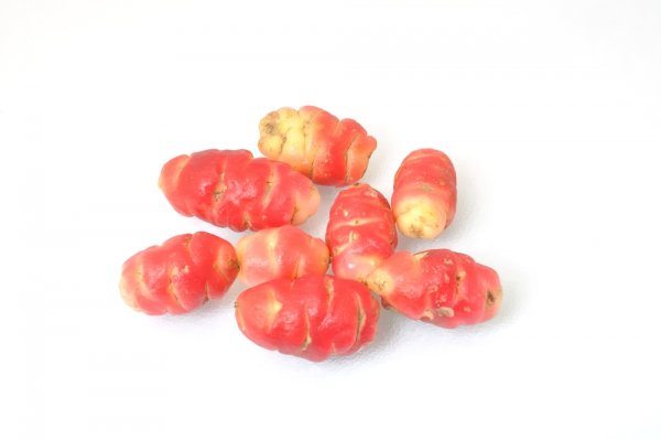 36 Weird Vegetables You've Never Seen Before! | Food For Net