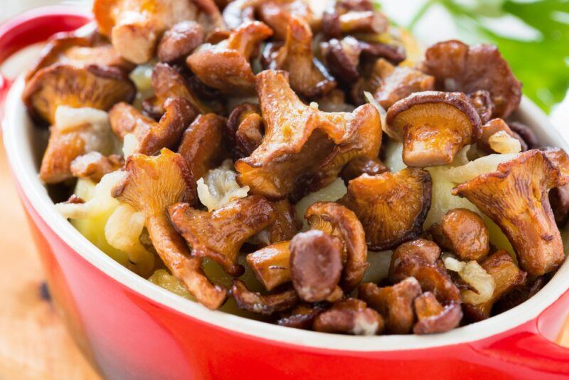 26 Exotic And Wild Mushrooms Great For Rustic & Exquisite Cuisine ...