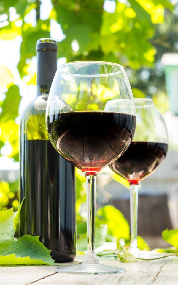 18 Foods That We Need To Make Our Favorite Booze | Food For Net