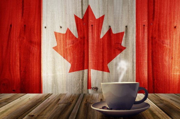 19 Delicious Canadian Coffee Franchises Other Than Starbucks | Food For Net