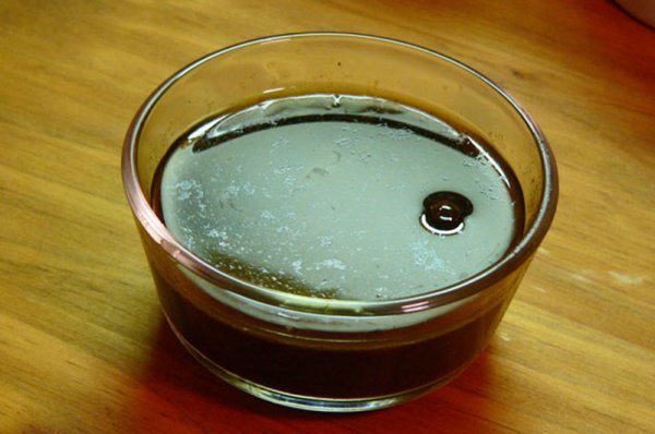 11 Savory Coffee Recipes to Dazzle For Your Next Dinner | Food For Net