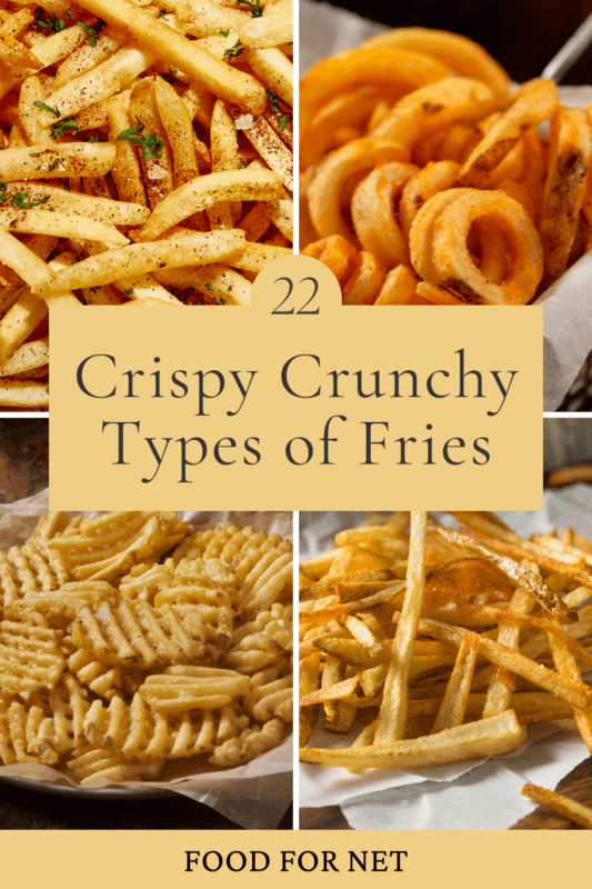 22 Types Of Fries For A Hot And Crispy Treat | Food For Net