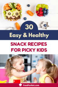 30 Easy And Healthy Snack Recipes for Picky Kids | Food For Net