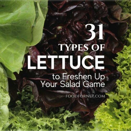 26 Stunning Purple Vegetables To Make Your Plate Come Alive | Food For Net