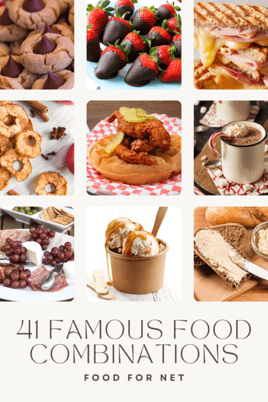 41 Famous + Delicious Food Combinations | Food For Net