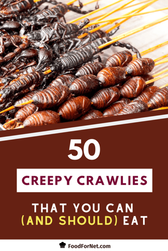 50 Creepy Crawly Bugs You Can (And Should) Eat | Food For Net
