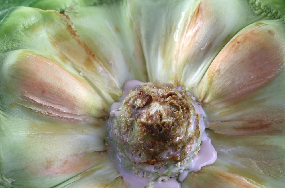 29 Exotic Nuts That You Need To See To Believe | Food For Net