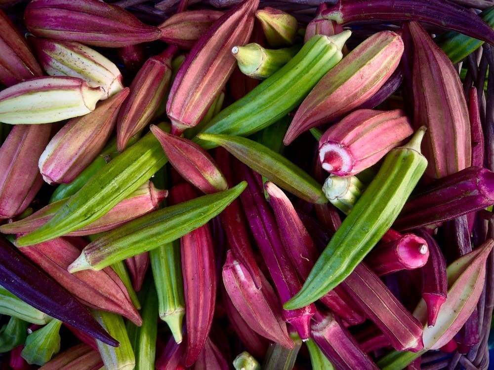 26 Stunning Purple Vegetables To Make Your Plate Come Alive | Food For Net