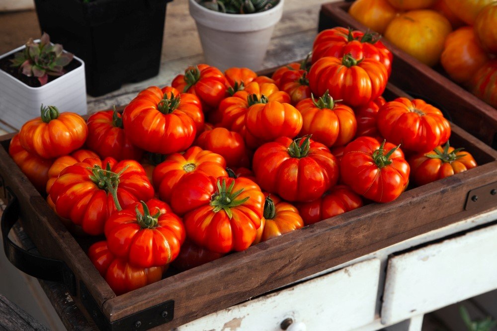 The Best Tomato Varieties For Your Home Garden | Food For Net