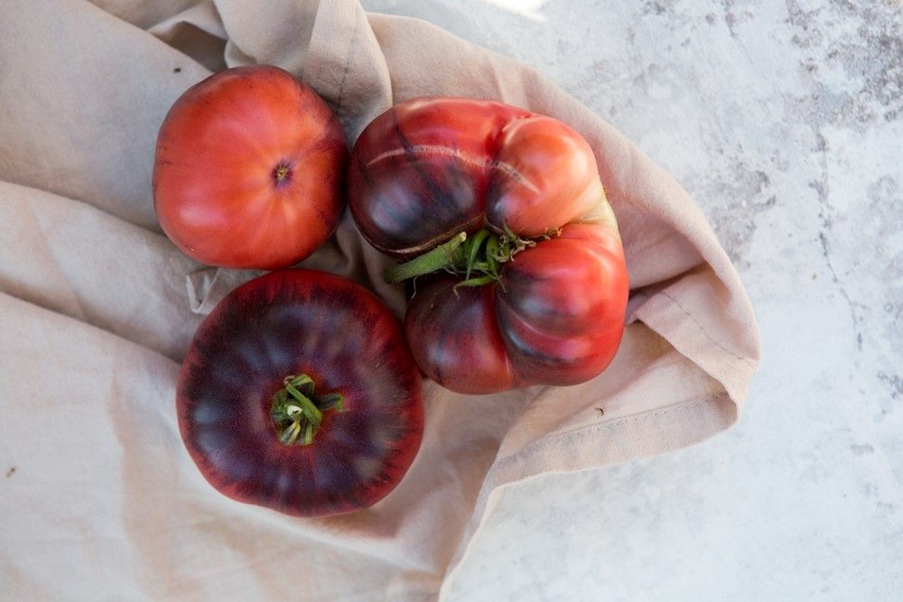 The Best Tomato Varieties For Your Home Garden | Food For Net