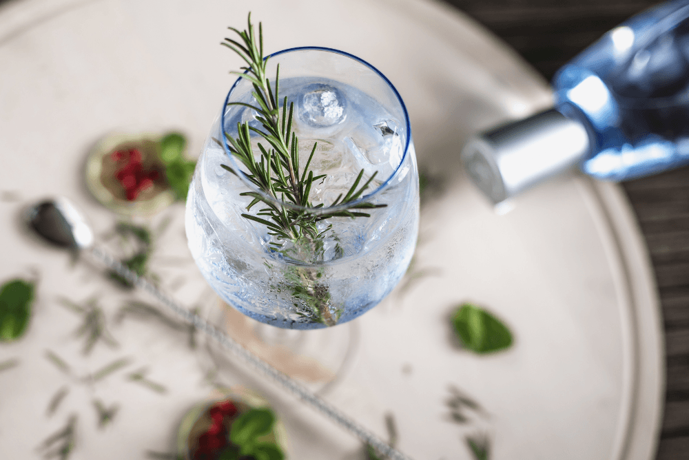 9 Types Of Gin Plus Exciting Gin Variations | Food For Net