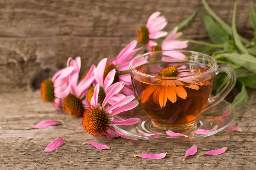 30 Healthy Herbal Teas That Will Refresh And Relax | Food For Net