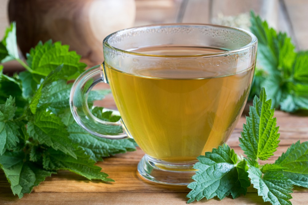 30 Healthy Herbal Teas That Will Refresh And Relax | Food For Net