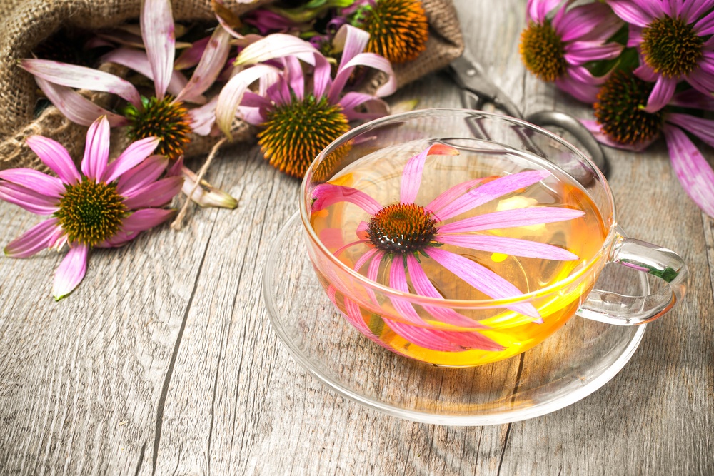 14 Flower-Based Teas That Offer Delicious Variety | Food For Net