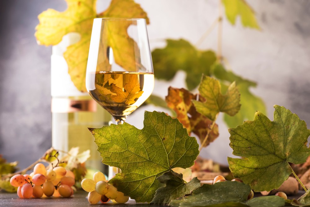 Brie Wine Pairing Suggestions And Tips | Food For Net