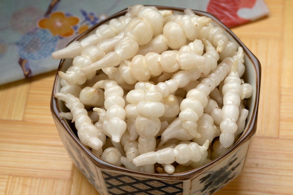 21 Unusual Root Vegetables To Add To Your Meals | Food For Net