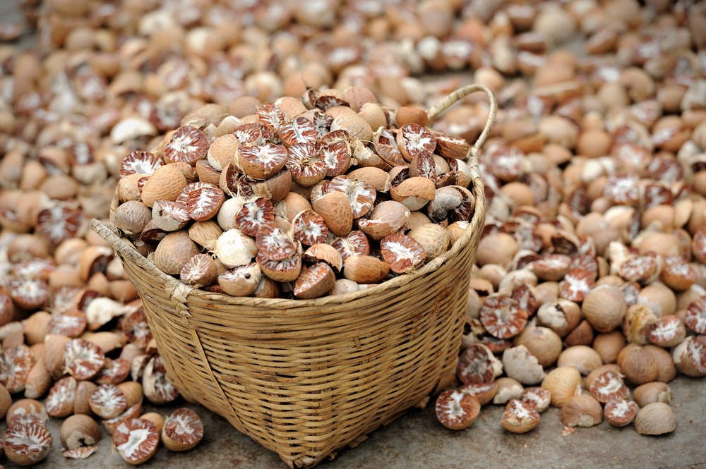 29 Exotic Nuts That You Need To See To Believe | Food For Net