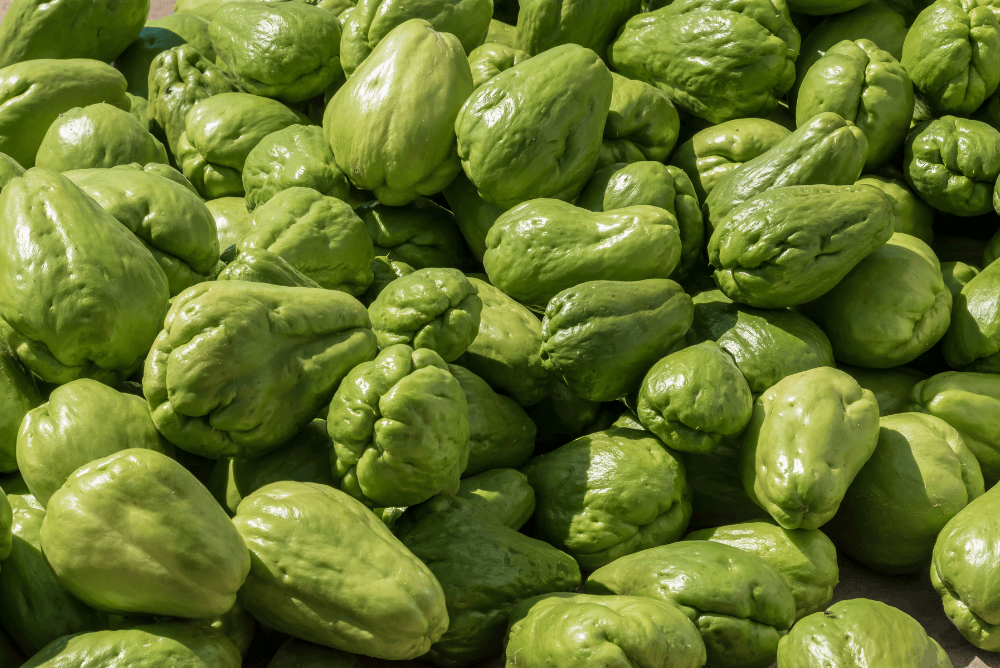 Can You Eat Chayote Raw? | Food For Net