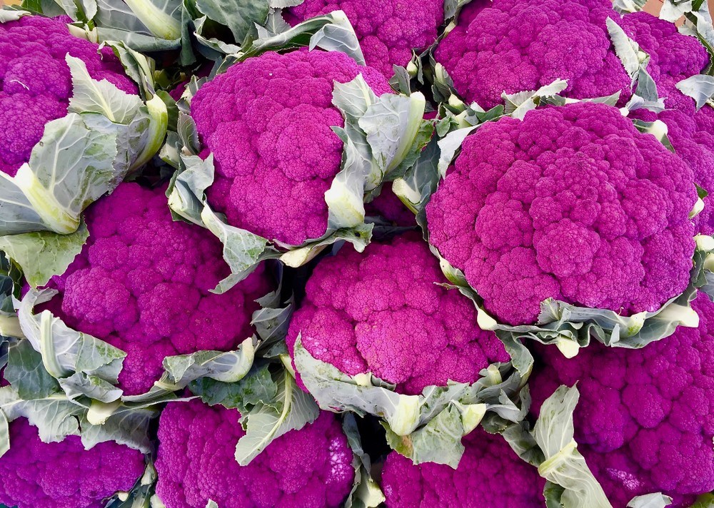 26 Stunning Purple Vegetables To Make Your Plate Come Alive | Food For Net
