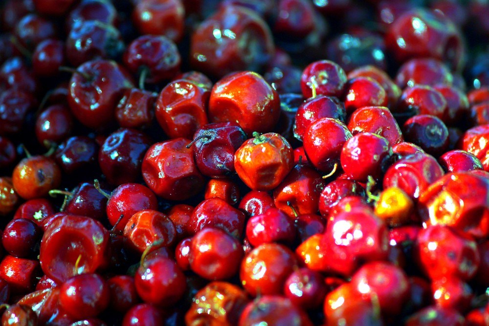 33 Exotic Asian Fruits To Tempt And Delight | Food For Net