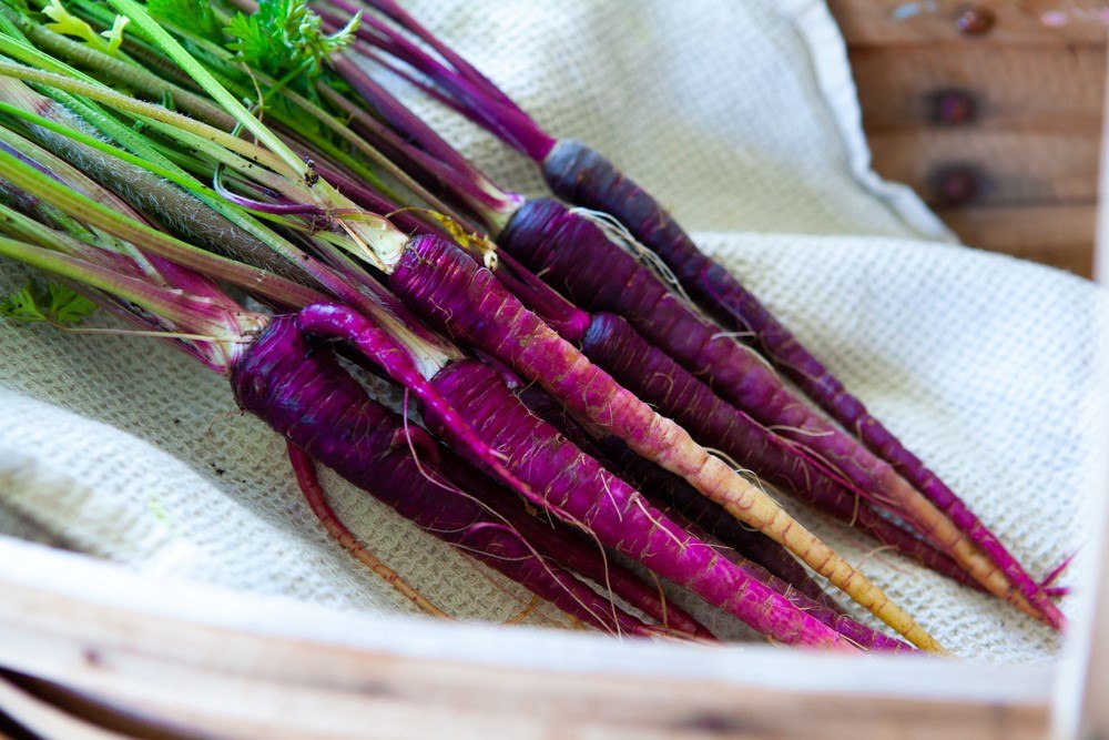 26 Stunning Purple Vegetables To Make Your Plate Come Alive | Food For Net