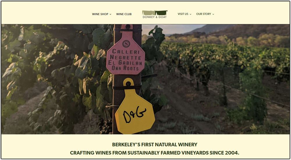 The Best Wines With Low Sulfites | Food For Net