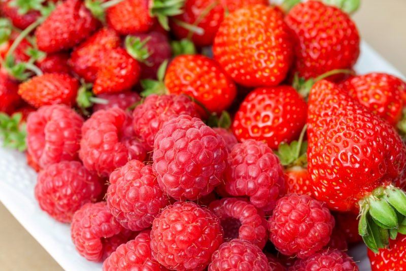 Top 15 Low Carb Foods | Food For Net