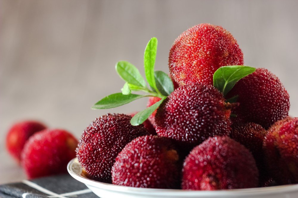 33 Exotic Asian Fruits To Tempt And Delight | Food For Net