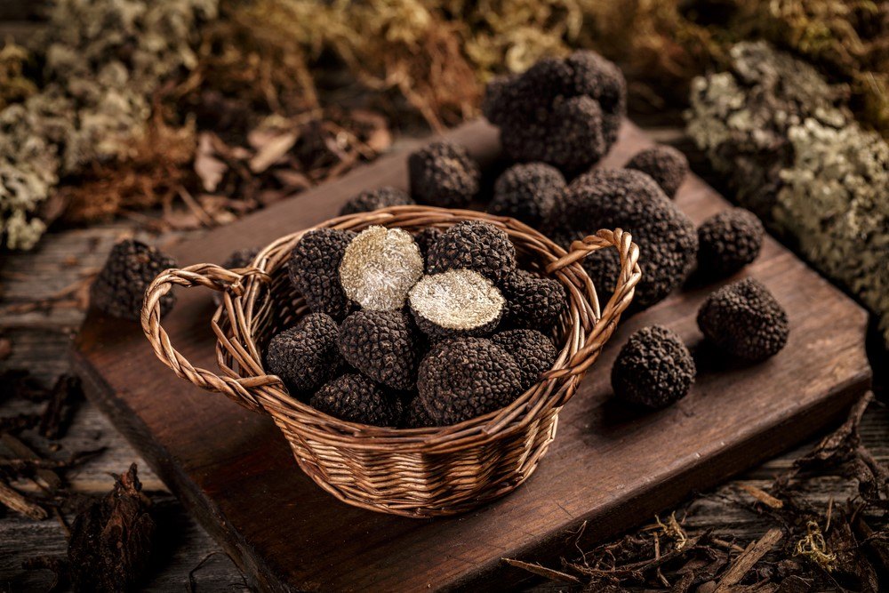 How To Grow Truffles And Impress Your Friends And Family | Food For Net