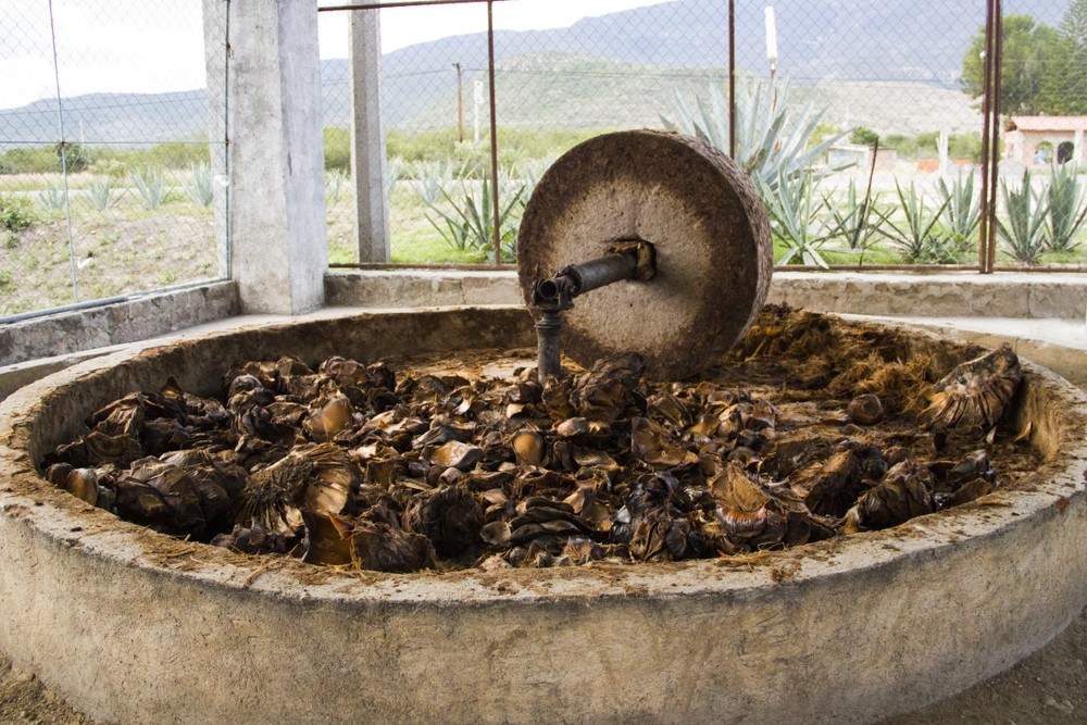 Tequila Vs Mezcal: Production, Aging, And Flavor | Food For Net