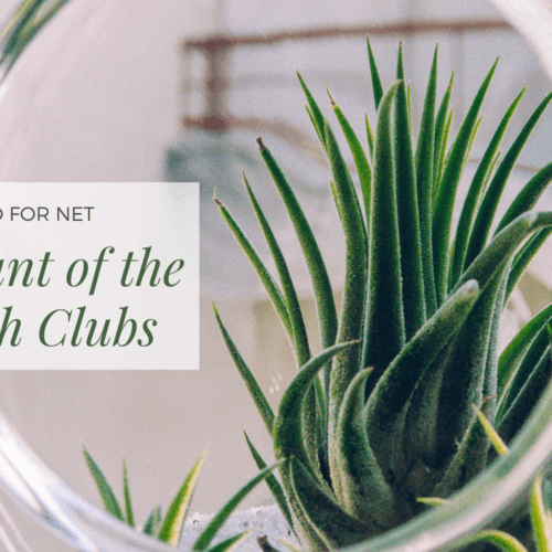 Best Plant of the Month Clubs Every Gardener Should Know About