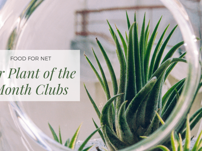 5 Twisty Pretzel of the Month Clubs+Gift Boxes | Food For Net