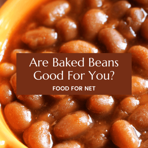 16 Types of Beans – the Most Common and the Most Popular | Food For Net