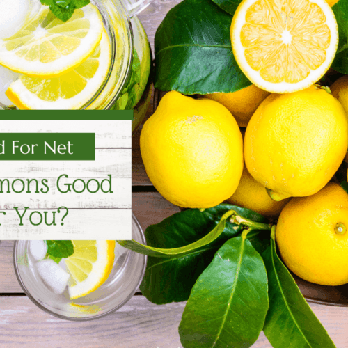 19 Foods That Seem Healthy But Secretly Aren’t | Food For Net