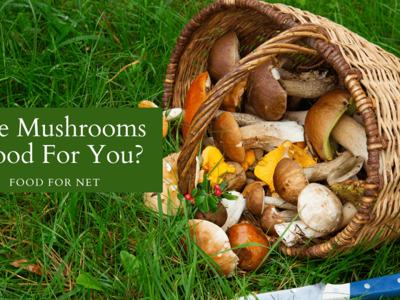 The Best Foods For Goiter Prevention | Food For Net