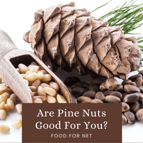 29 Exotic Nuts That You Need To See To Believe | Food For Net