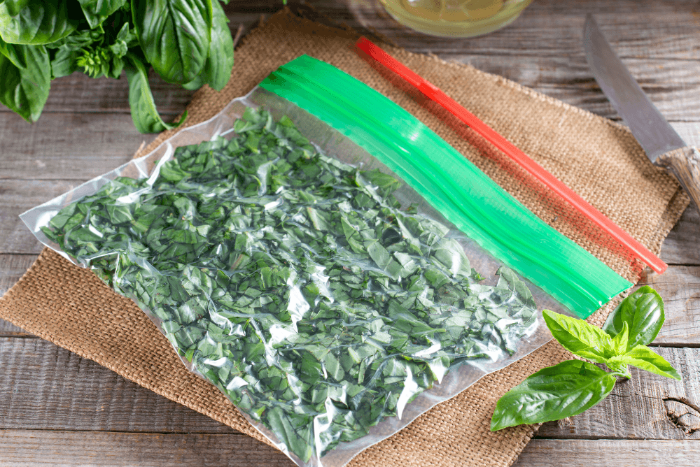 How To Freeze Basil | Food For Net