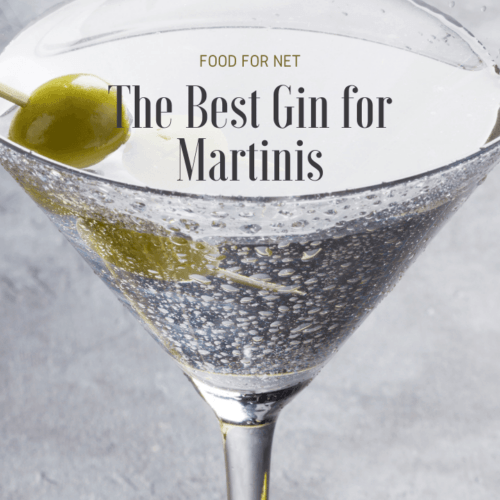 Top 19 Gin Mixers For Fast, Easy And Delicious Drinks | Food For Net