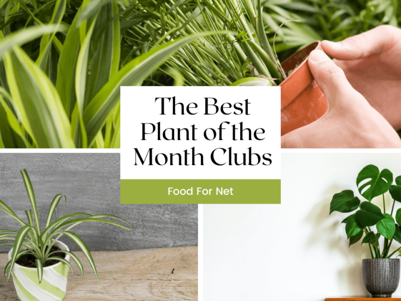4 Jam of the Month Clubs that even Clark Griswold would Love + Gift ...