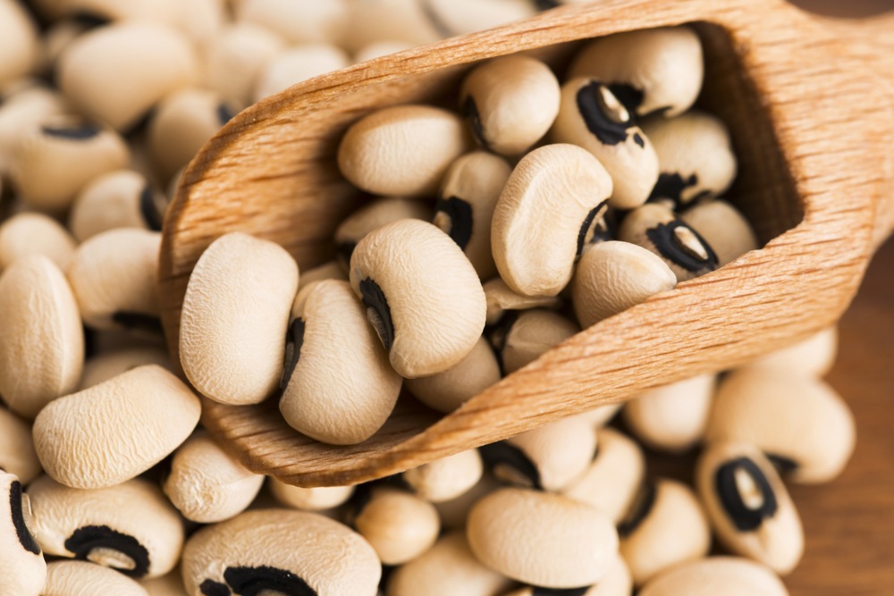 The Types Of Legumes, Their Differences, And Health Impacts | Food For Net
