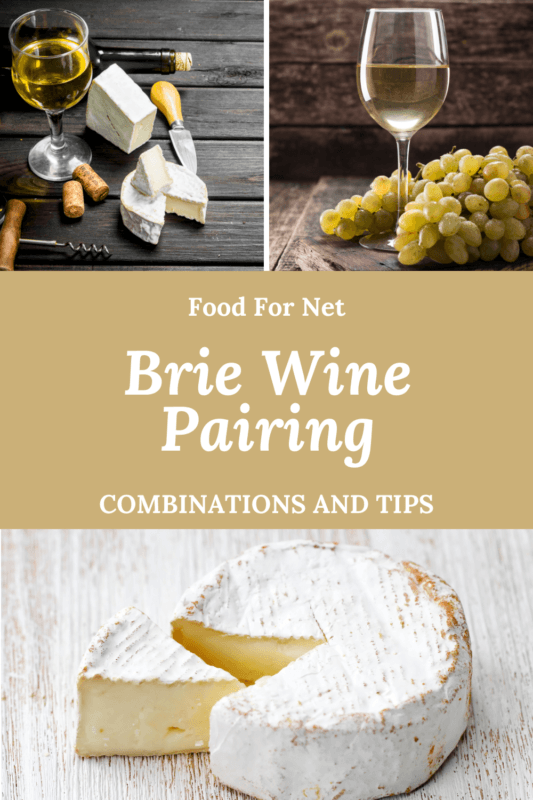 Brie Wine Pairing Suggestions And Tips | Food For Net