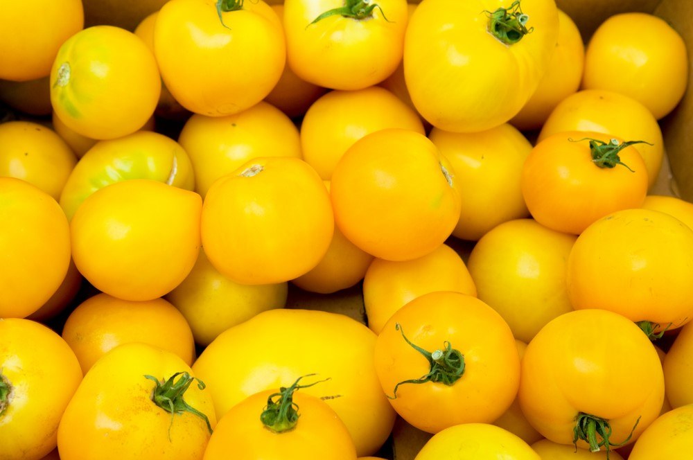 The Best Tomato Varieties For Your Home Garden | Food For Net