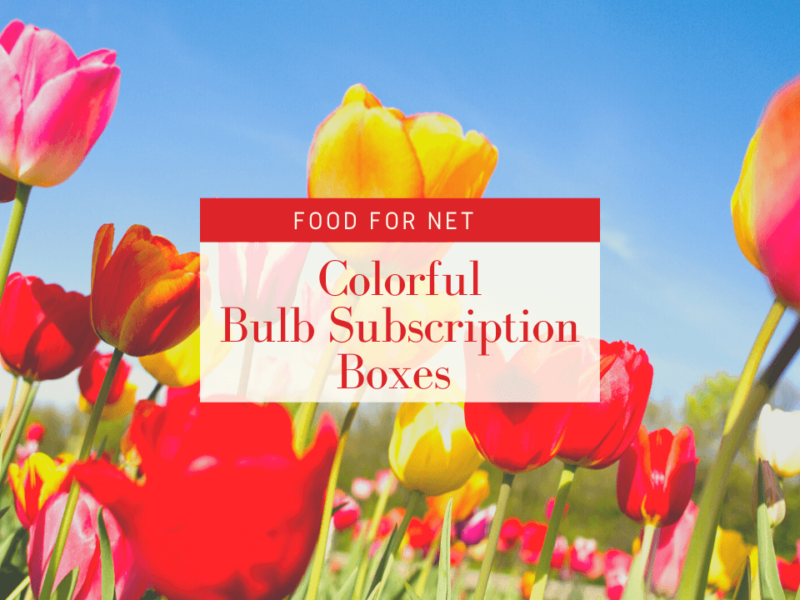 7 Diabetic Friendly Subscription Boxes For Healthy, Low-Sugar Treats ...