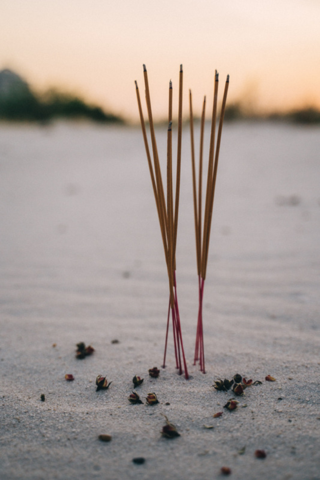 8 Aromatic Incense of the Month Clubs | Food For Net