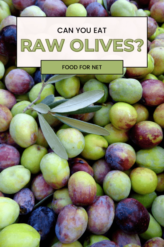 Can You Eat Raw Olives? | Food For Net